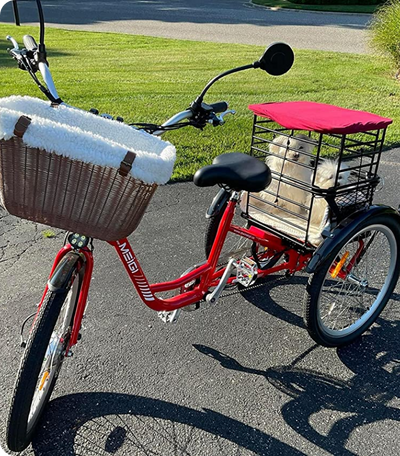 MG1703-ZEUS : 3 Wheel Fat Tire Electric Trike - Ultimate Fun- MEIGI